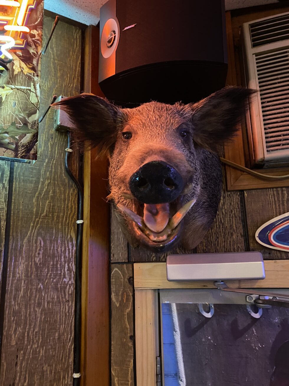 Wild Life Gallery - Greystone Castle
